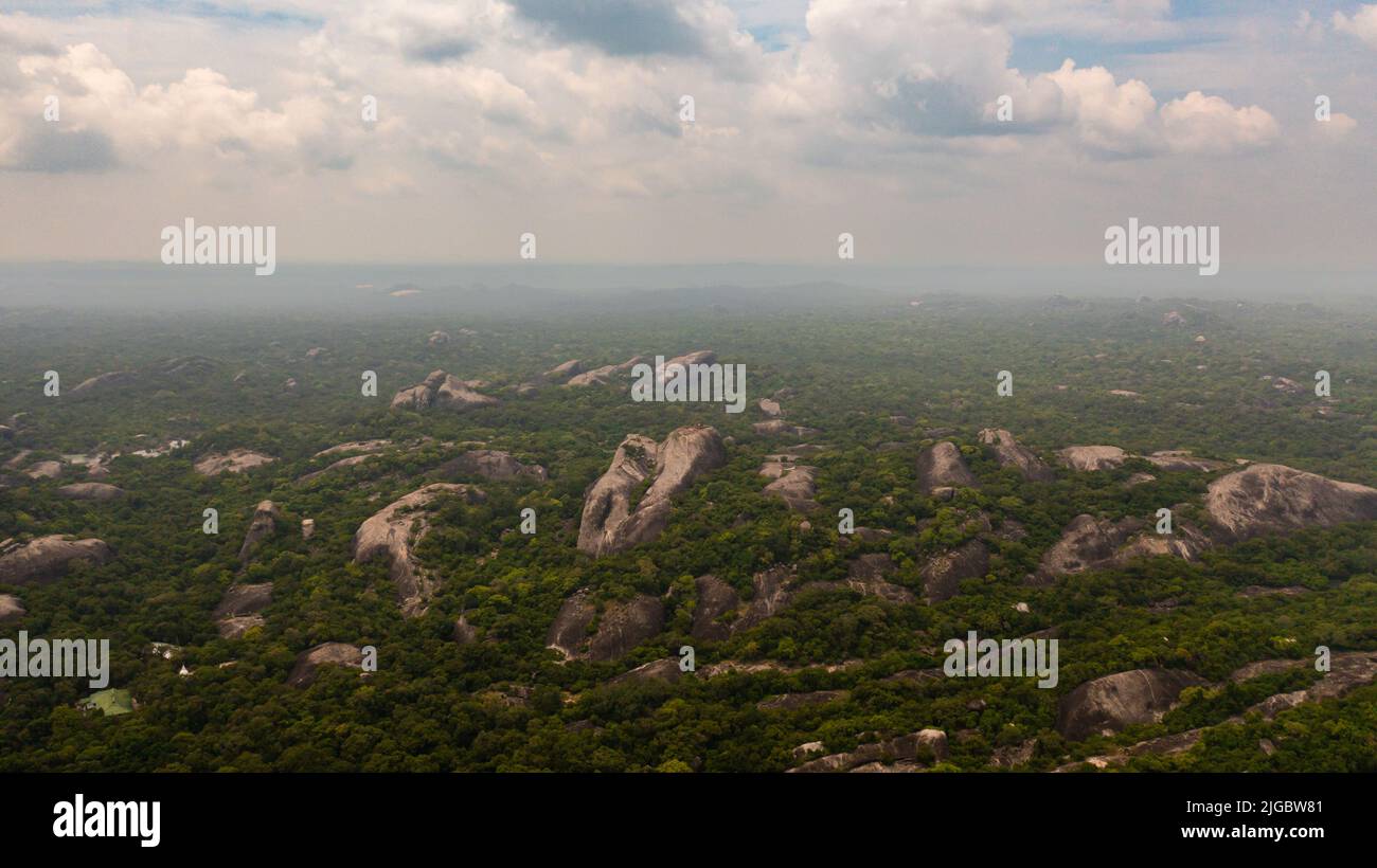 Top view of green forest with tropical vegetation and rock formations ...