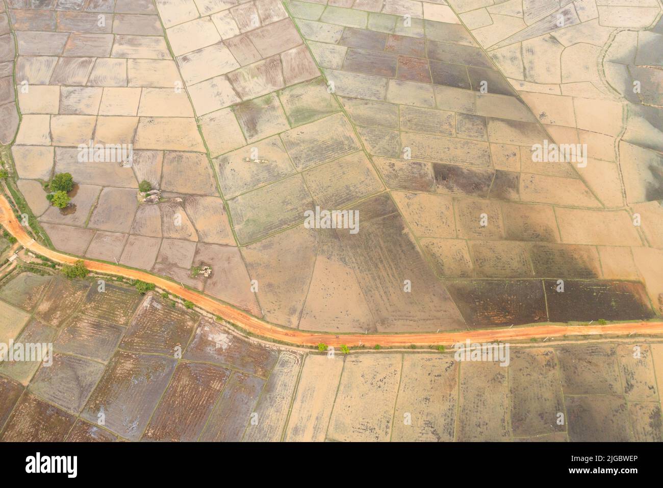 Evergreen countryside scenery rice fields hi-res stock photography and ...