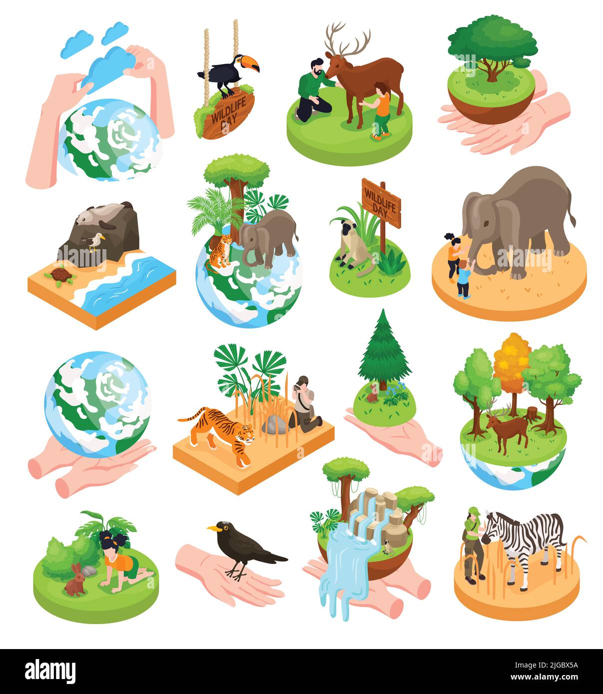 Carnivorous Animals Clipart