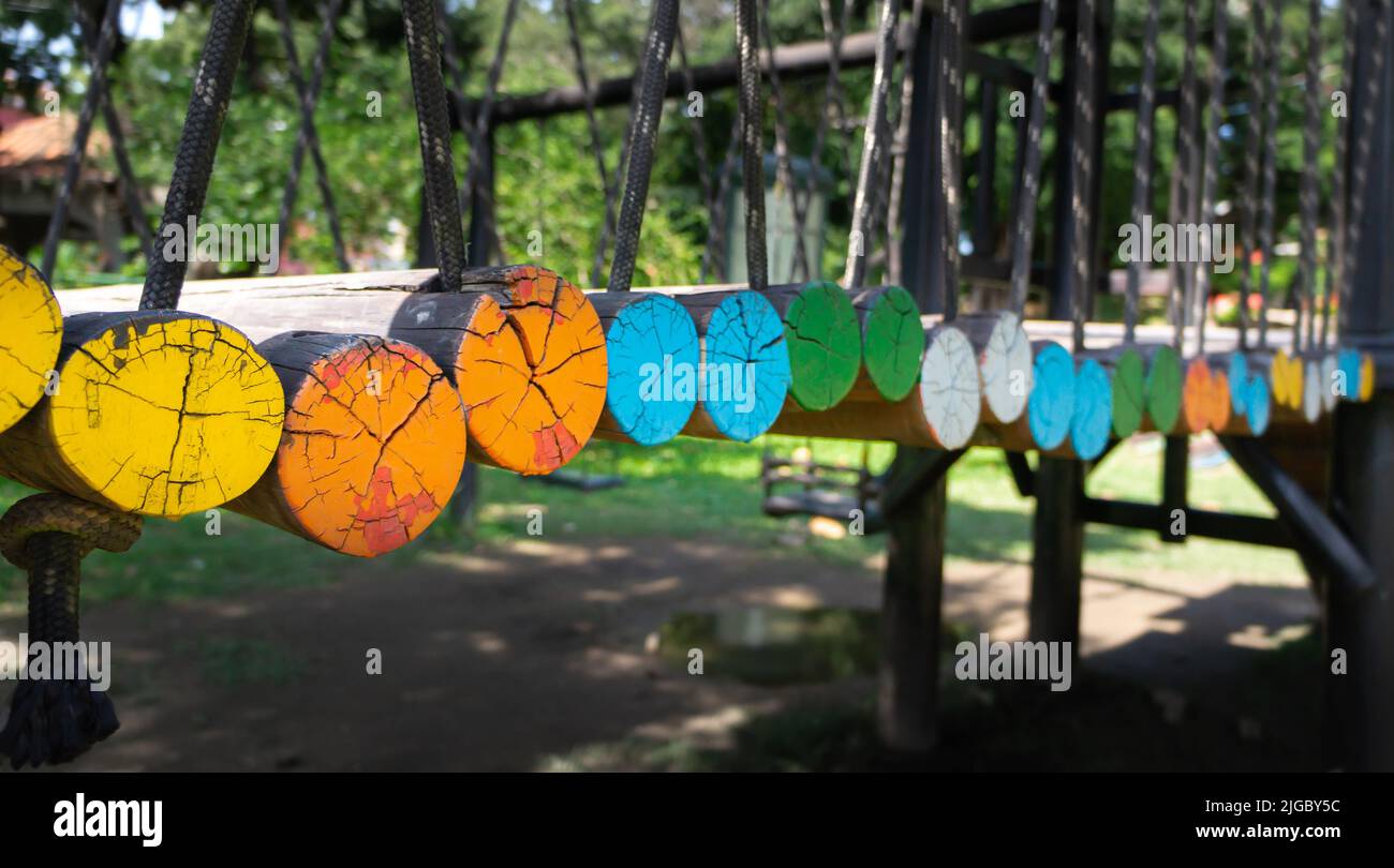 A tree logs with different color Stock Photo - Alamy