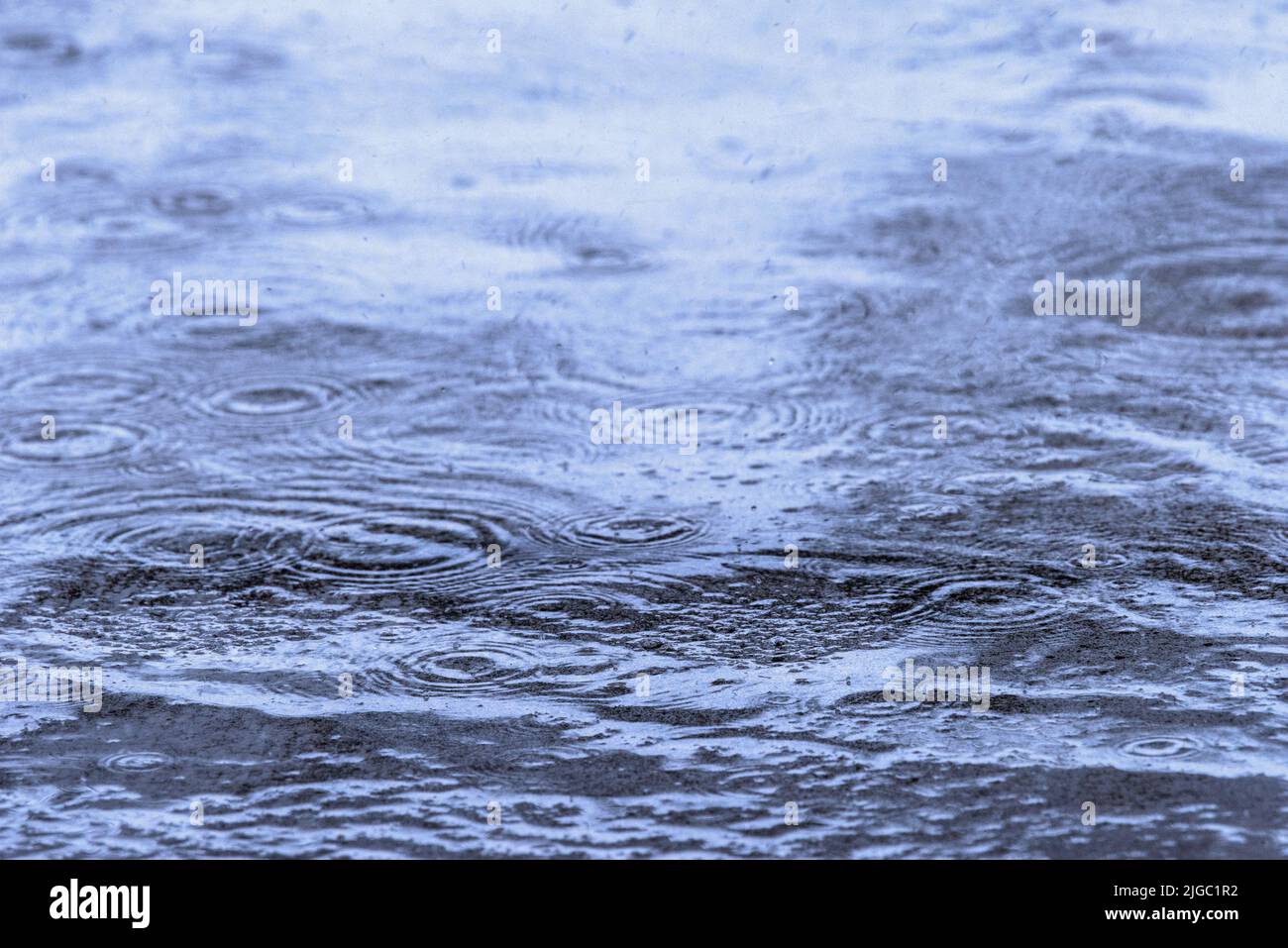 Water droplet falling into pond hi-res stock photography and images - Alamy