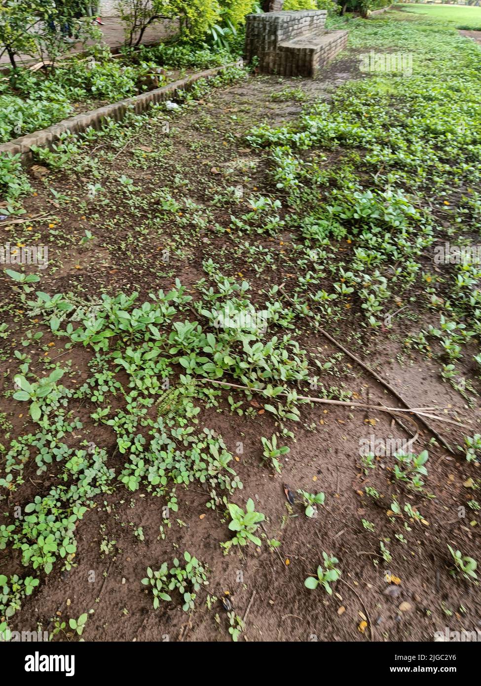 Random grassy spot in deserted cemetery park stone bench Stock Photo ...