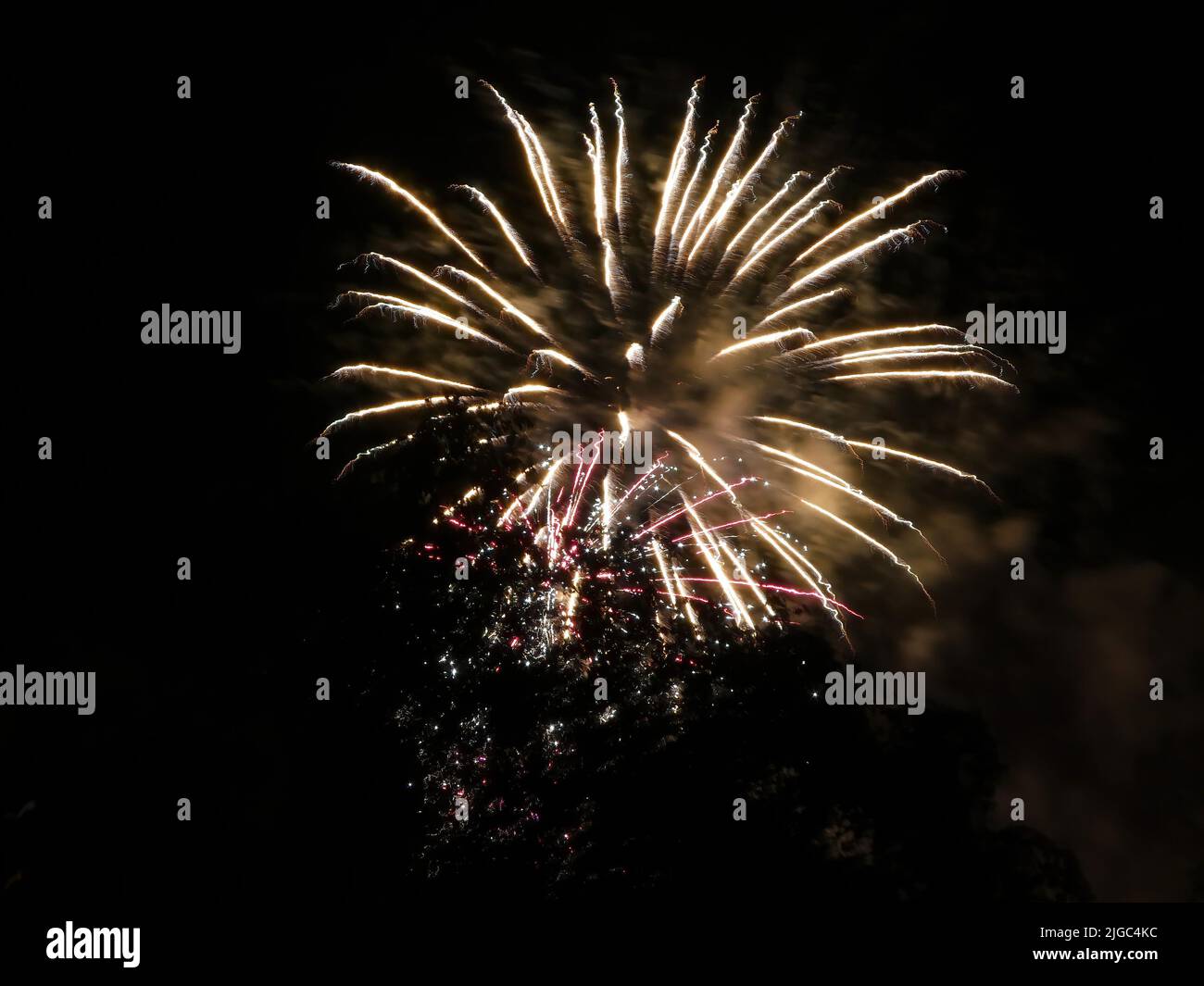 Beautiful fireworks explosion on the dark night sky Stock Photo - Alamy