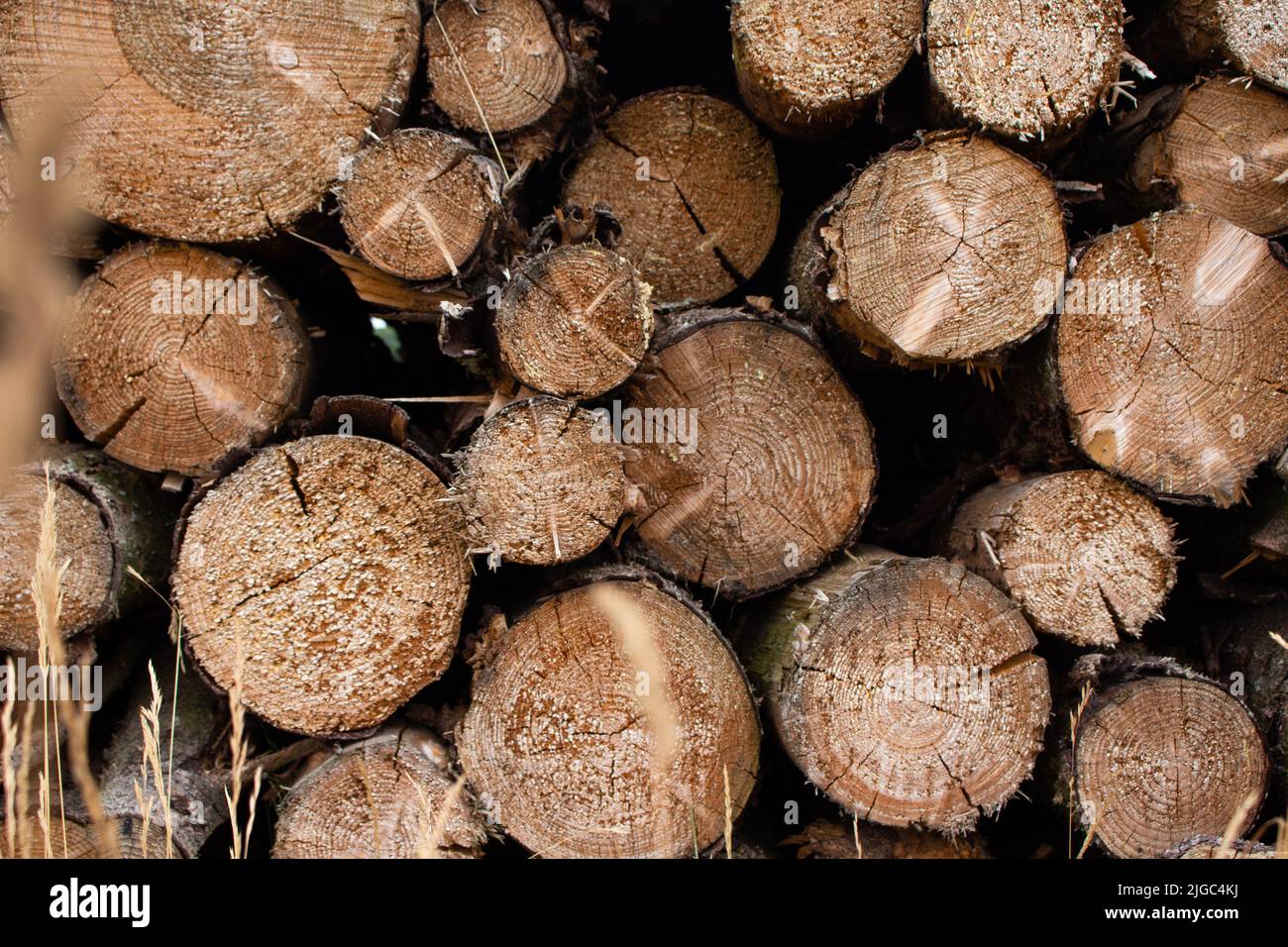 A brown stack of cuted wood Stock Photo - Alamy