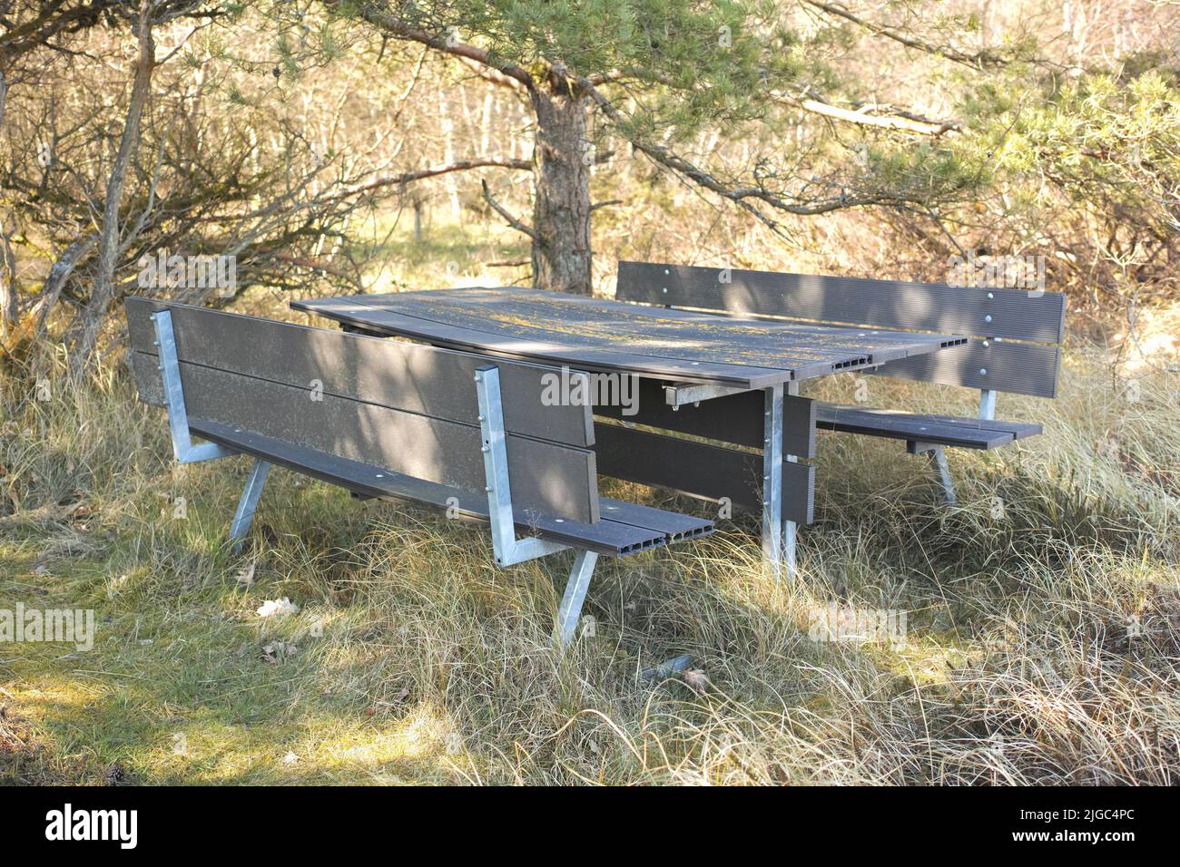 Public bench. Still life of a public bench and table in a forest on a ...