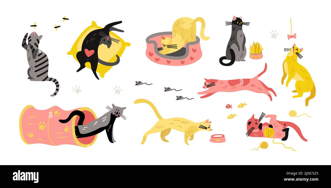 Set of isolated cats character objects with images of colorful pets ...