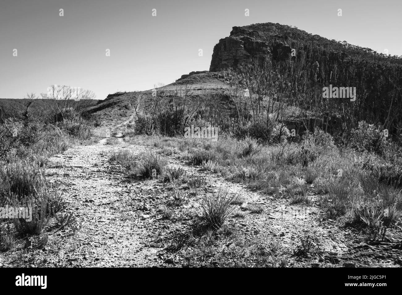 Black and white photo of mount banks in blue mountains of nsw in Austra ...