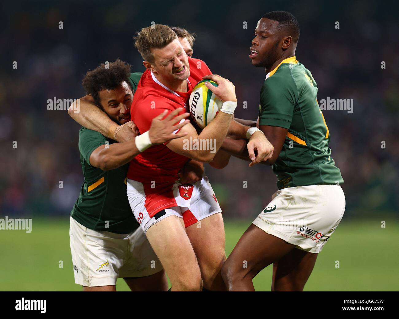 Aphelele fassi hi-res stock photography and images - Alamy