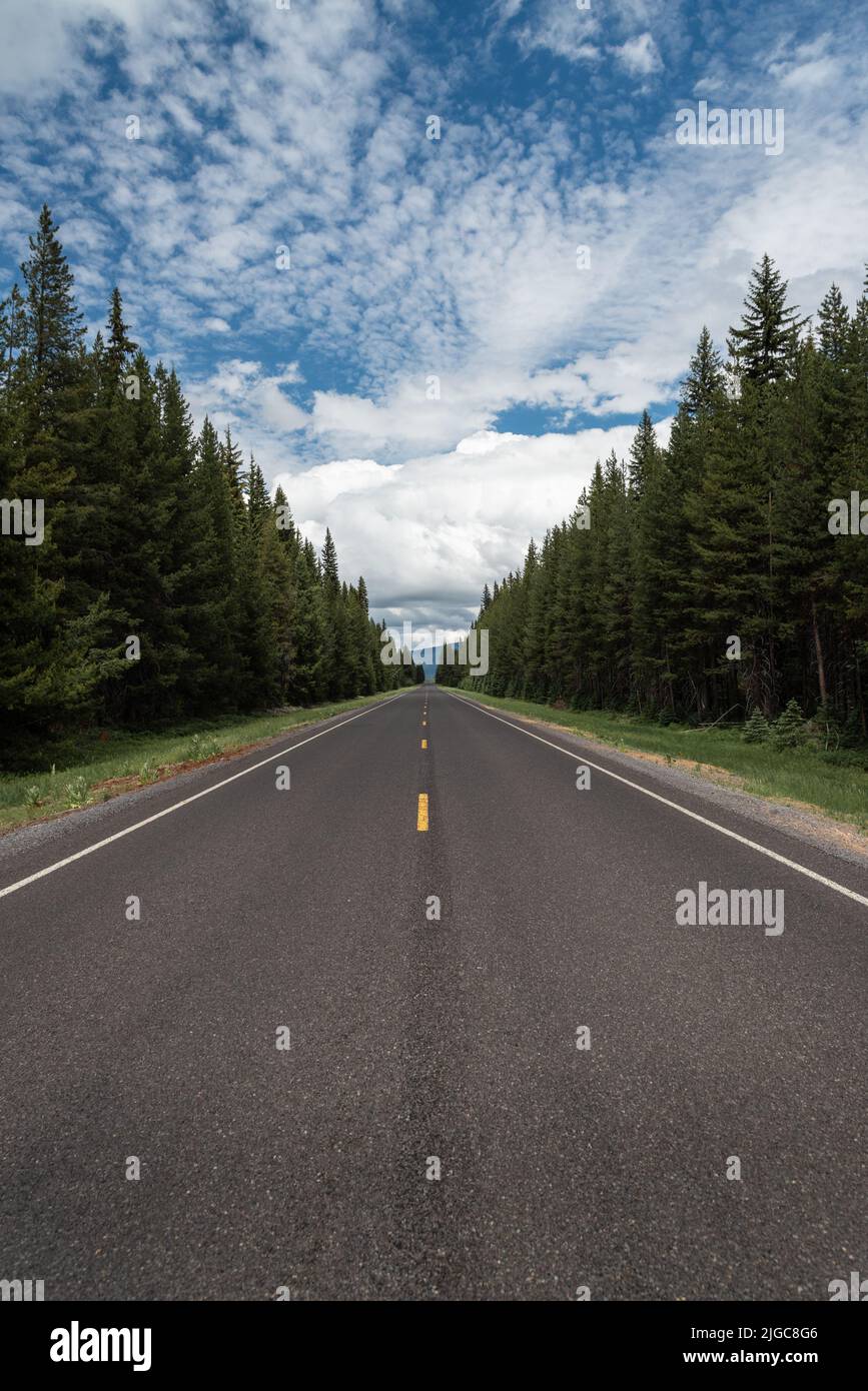 Long open road into the mountain forest horizon Stock Photo - Alamy