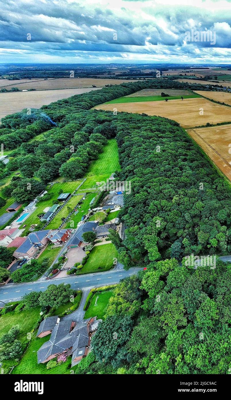 An aerial view of buildings surrounded by growing trees and greenery ...