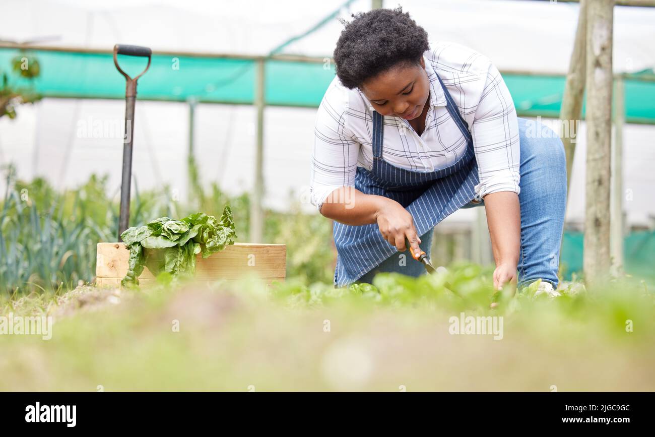 Farming is a game of patience and hope. a young woman tending to the ...