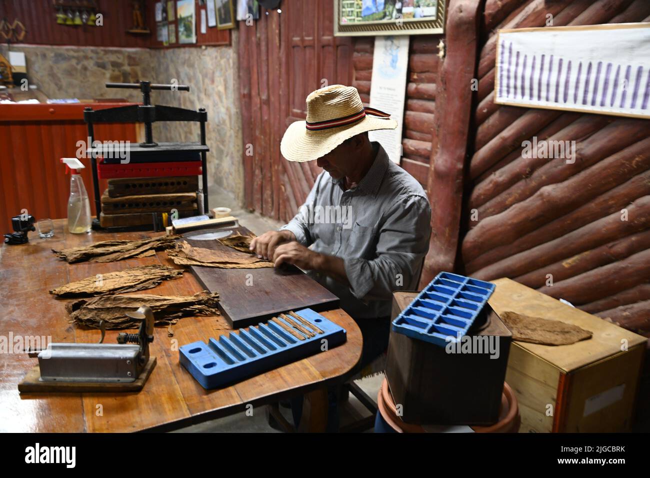 Local man is rolling fine premium quality Cuban cigars in his 3rd ...