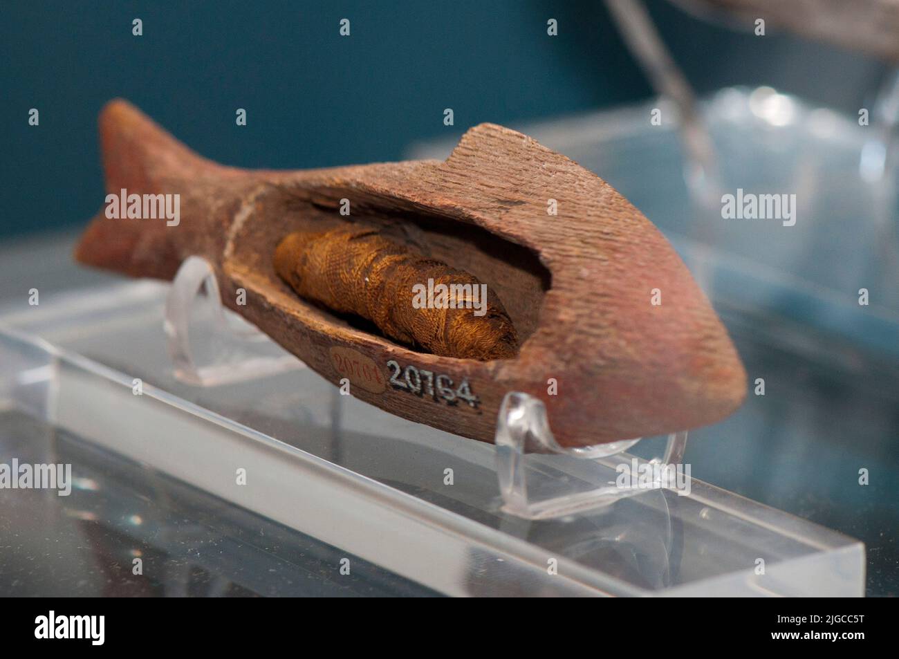 mummified fish at the British Museum Stock Photo - Alamy