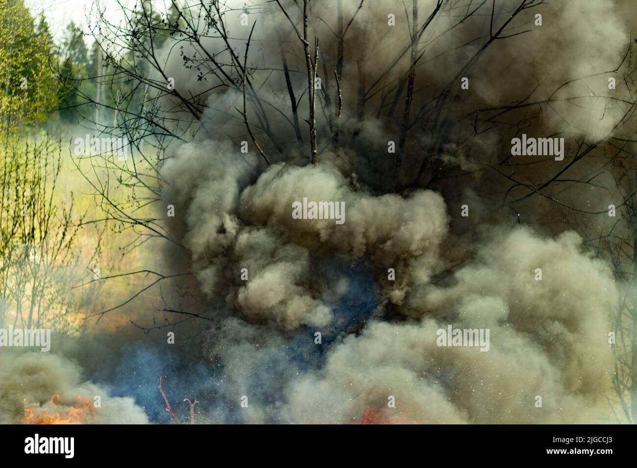 Black smoke and fire. Fire in forest. Burning of garbage. Environmental ...