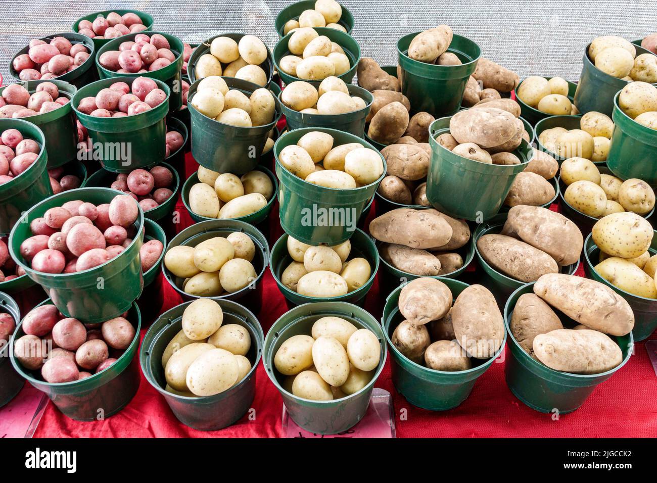 Naples Florida,farmers market display sale potatoes different varieties ...