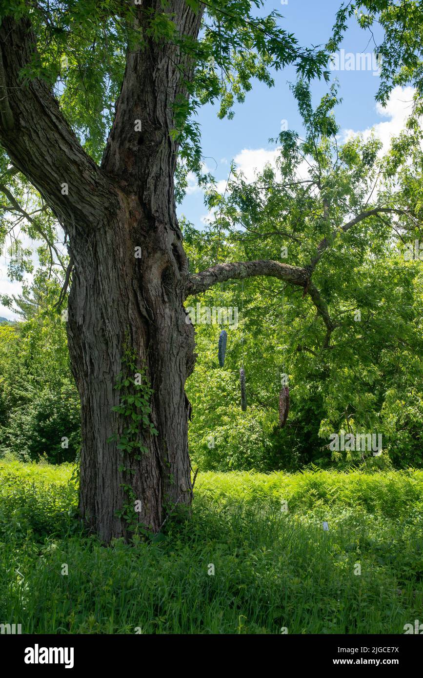 John Hay Estate at The Fells on Lake Sunapee, NH. Home of diplomat and ...