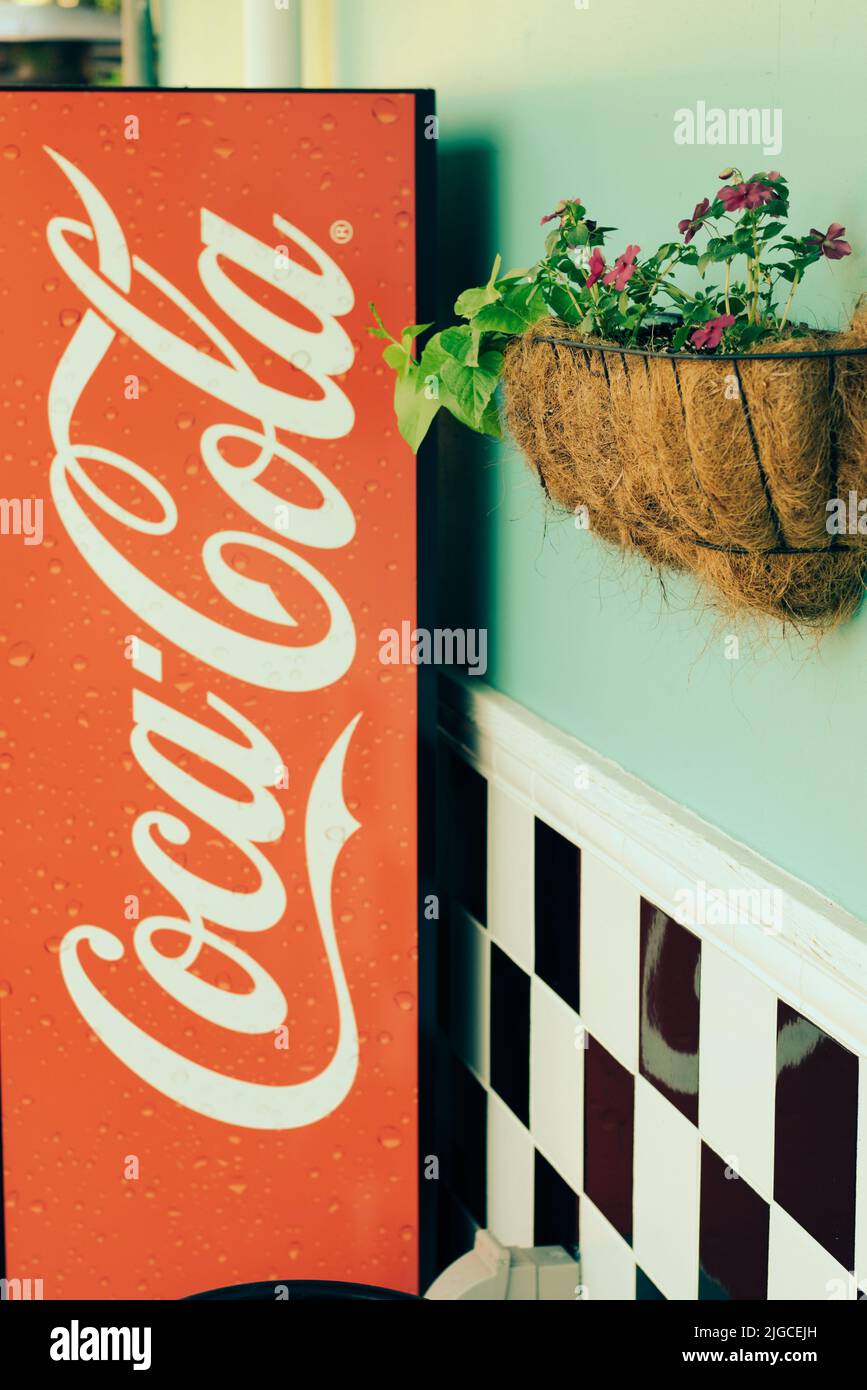 A vertical shot of modern coca cola machine near hanging plant from ...