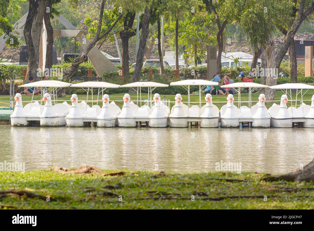The view of white duck-shaped paddle wheels in a row on the lake Stock ...