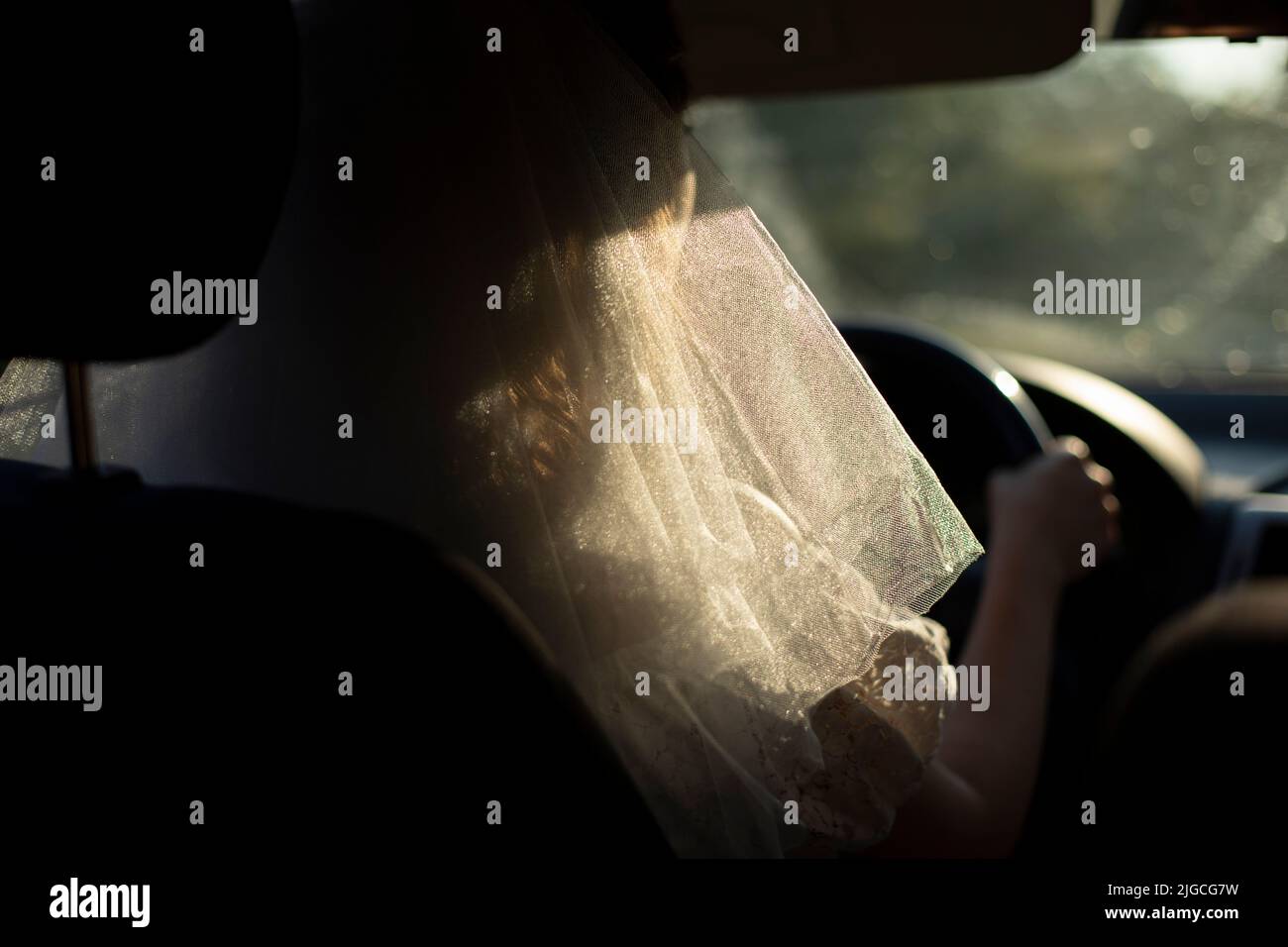 Bride is driving car. Woman in white veil in transport. Girl in car ...