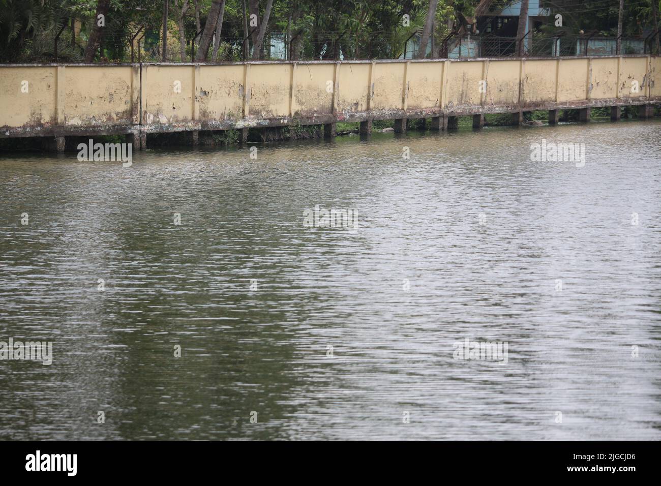 The wind is blowing from the water of the pond Stock Photo - Alamy