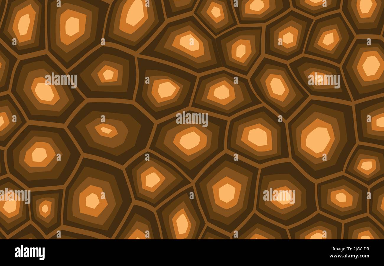 Abstract modern turtle shell seamless pattern. Animals trendy ...
