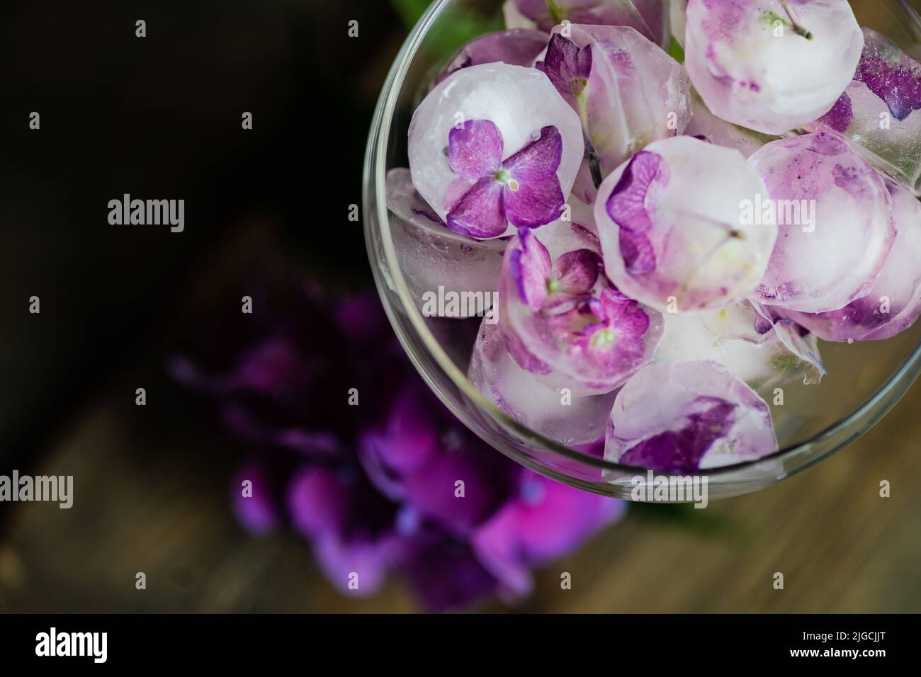 Glass with purple hydrangea flower ice cubes as a refreshing summer ...