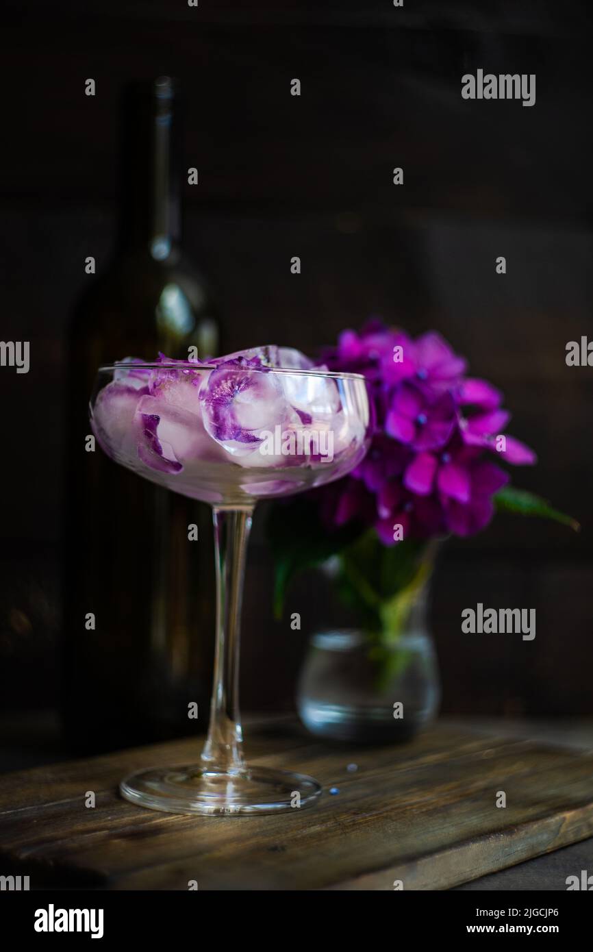 Glass with purple hydrangea flower ice cubes as a refreshing summer ...
