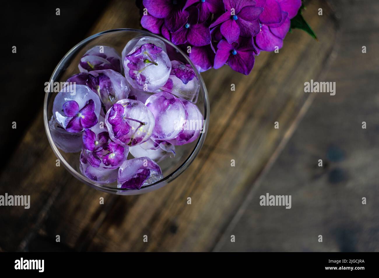 Glass with purple hydrangea flower ice cubes as a refreshing summer ...