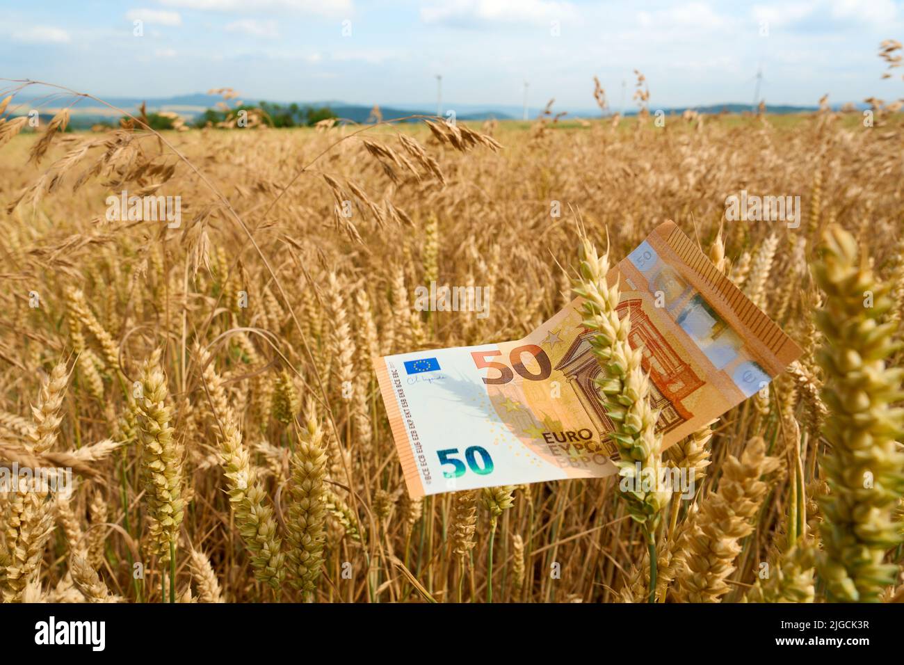 Fifty euro banknote on wheat ears, agriculture business concept ...