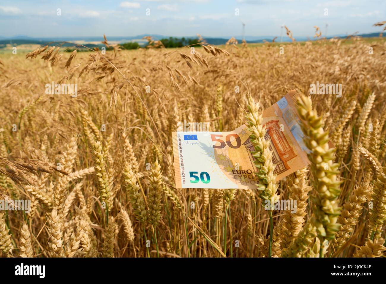 A Fifty euro note between ripe wheat ears in a field, agricultural ...