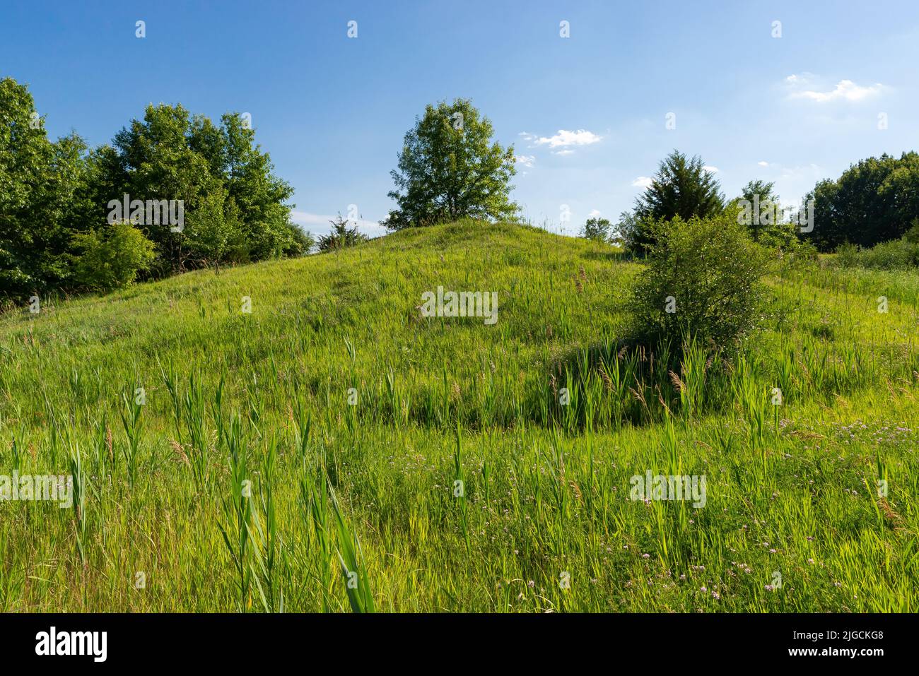 Vibrant Summer landscape at Buffalo Rock State Park, Illinois, USA ...