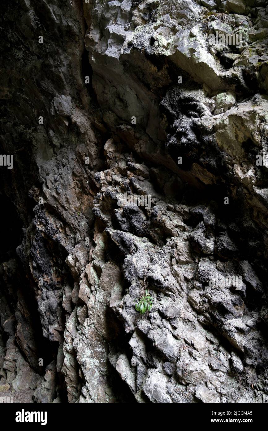 Dark Cave Wall Texture