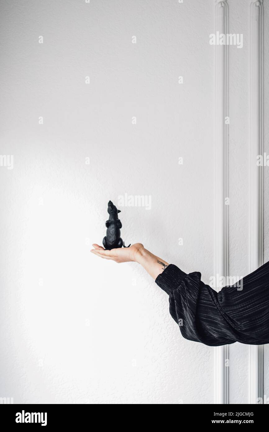 woman in long sleeve black holding up a black rubber rat sculpture ...