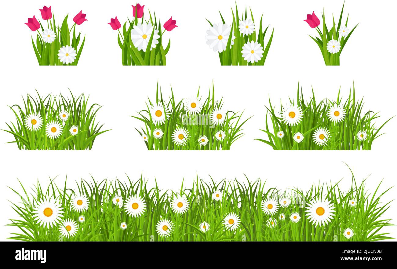 Grass, tulips and daises set. Green flowering meadow collection Stock ...
