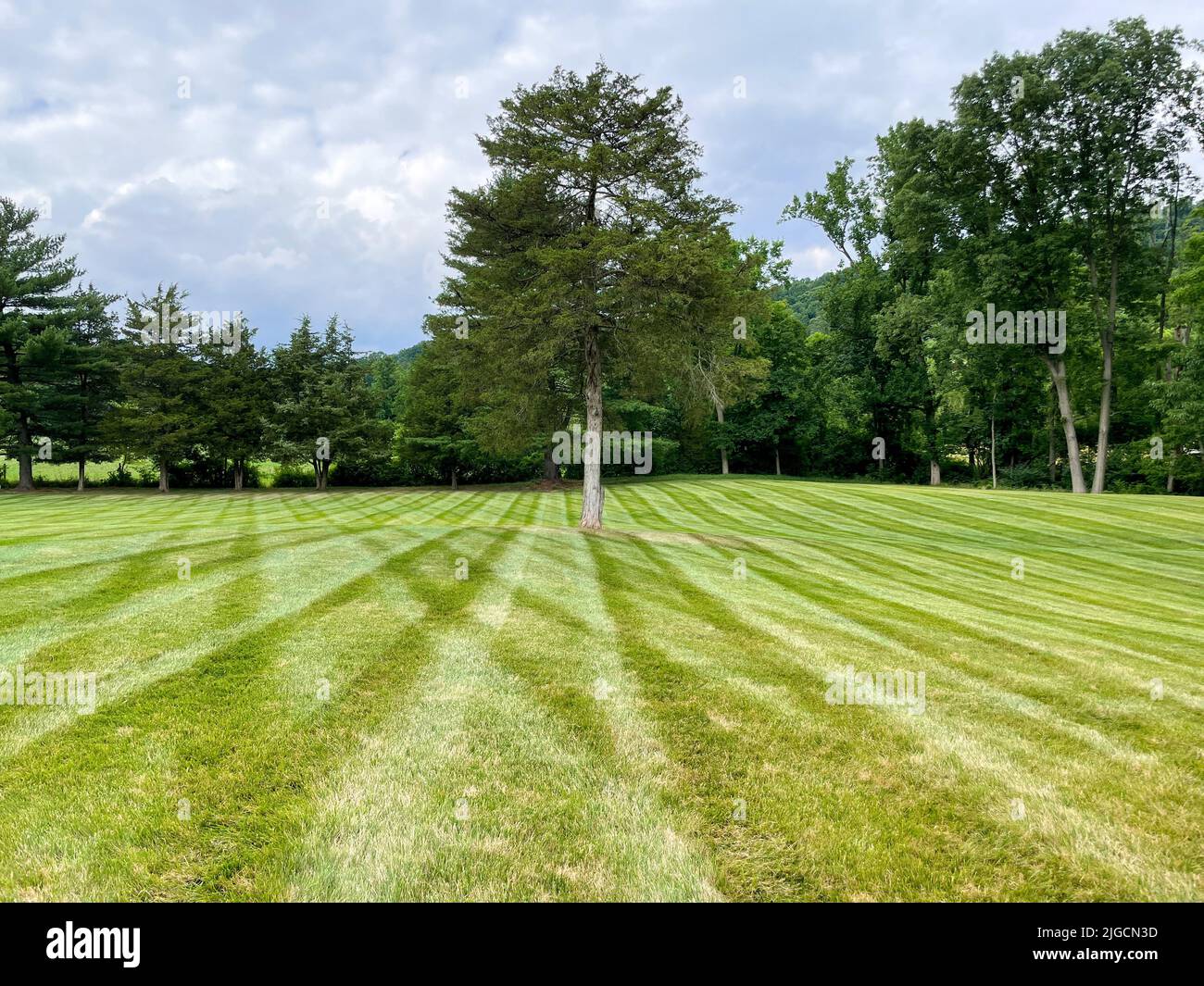 Striped lawn hi-res stock photography and images - Alamy