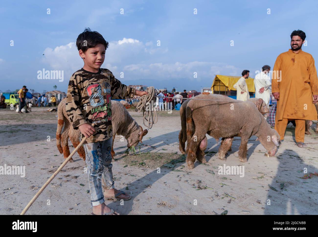 A boy pulls a rope tied to a sheep at a livestock market ahead of Eid ...