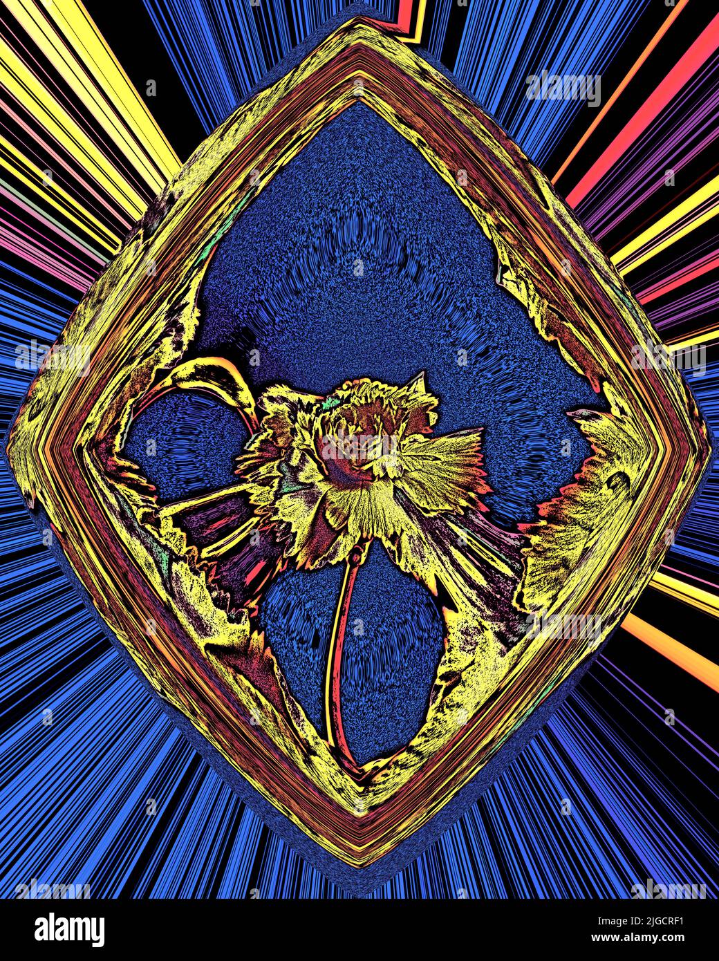 Computer art generated from an original photo taken by myself Stock ...