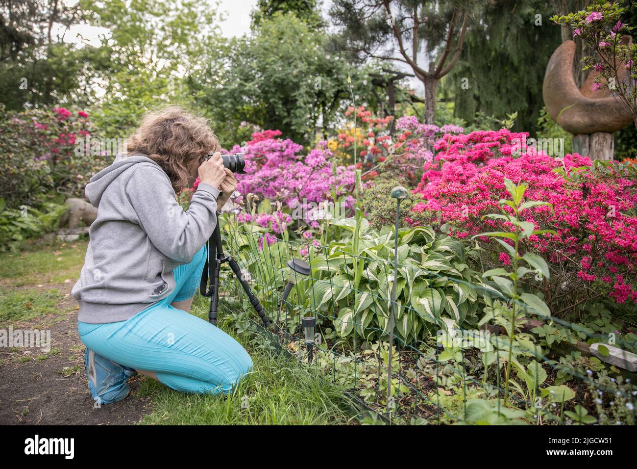 Woman takes picture garden hi-res stock photography and images - Alamy