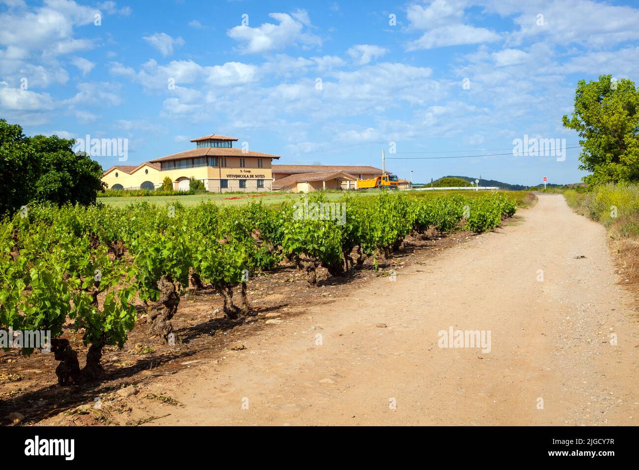 View through La Rioja vineyards from the Camino de Santiago, the way of ...