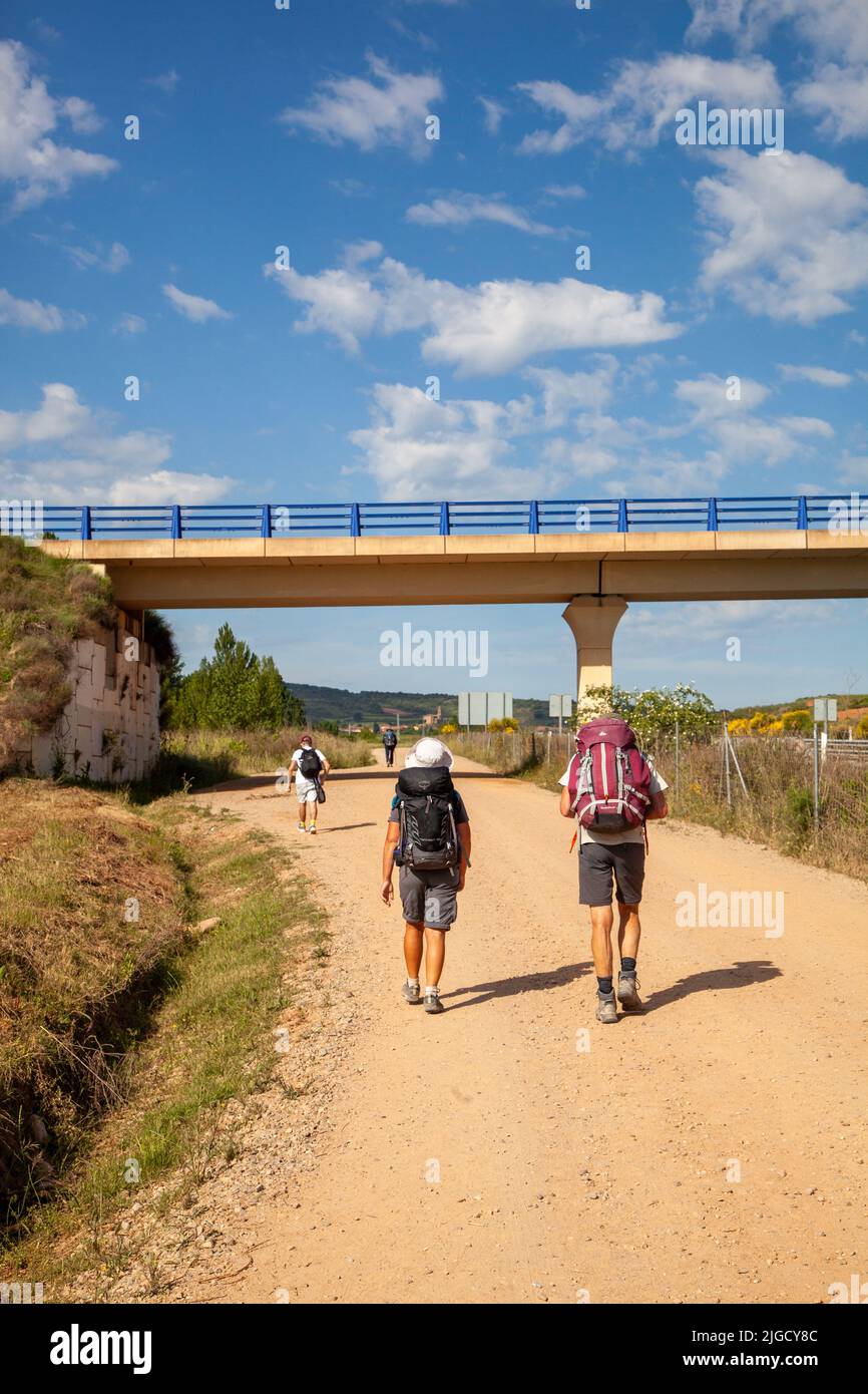 Pilgrims hiking through La Rioja while walking the Camino de Santiago ...