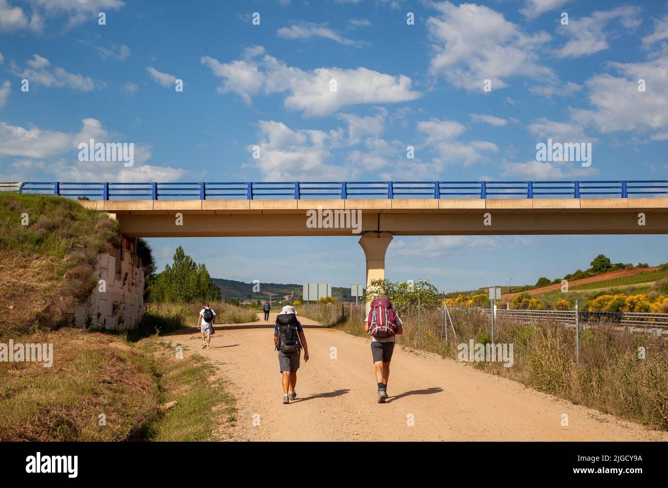 Pilgrims hiking through La Rioja while walking the Camino de Santiago ...