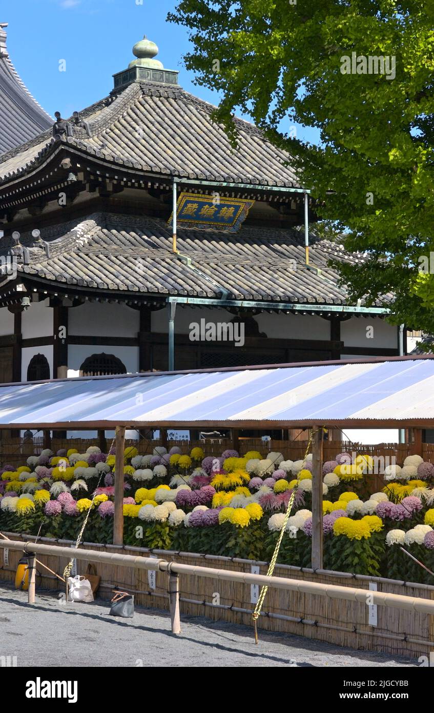 The Hongwan-ji Temple, Kyoto JP Stock Photo - Alamy