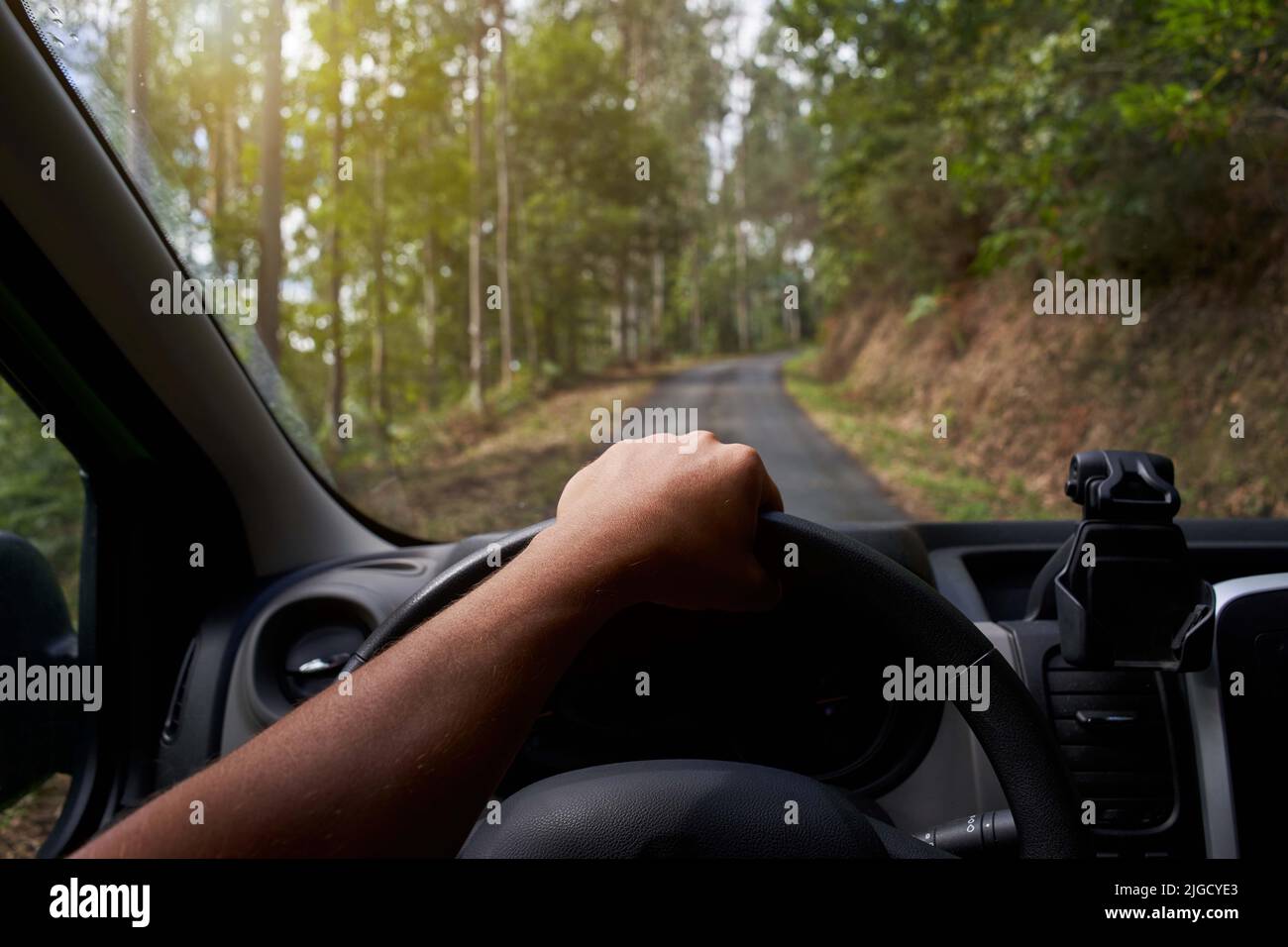 POV. car driver hand on the steering wheel - Road trip in nature in the ...