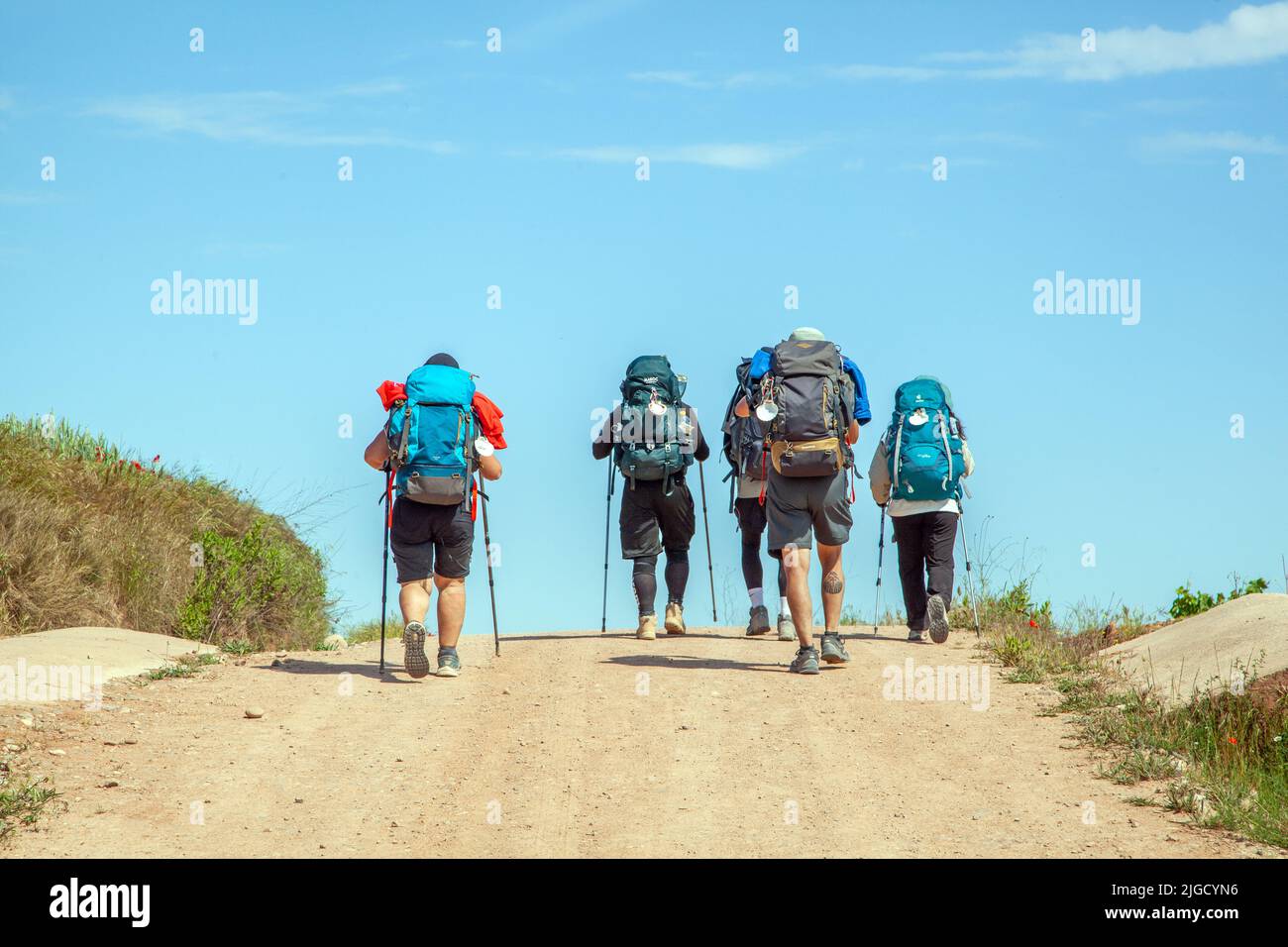 Pilgrims hiking through La Rioja vineyards while walking the Camino de ...