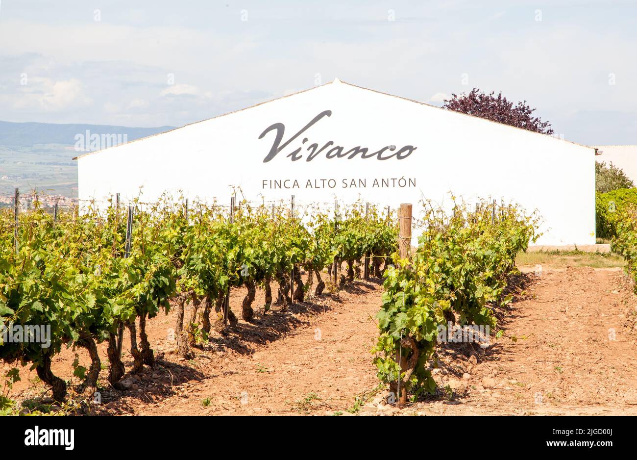View of La Rioja vineyards from the Camino de Santiago, the way of St ...