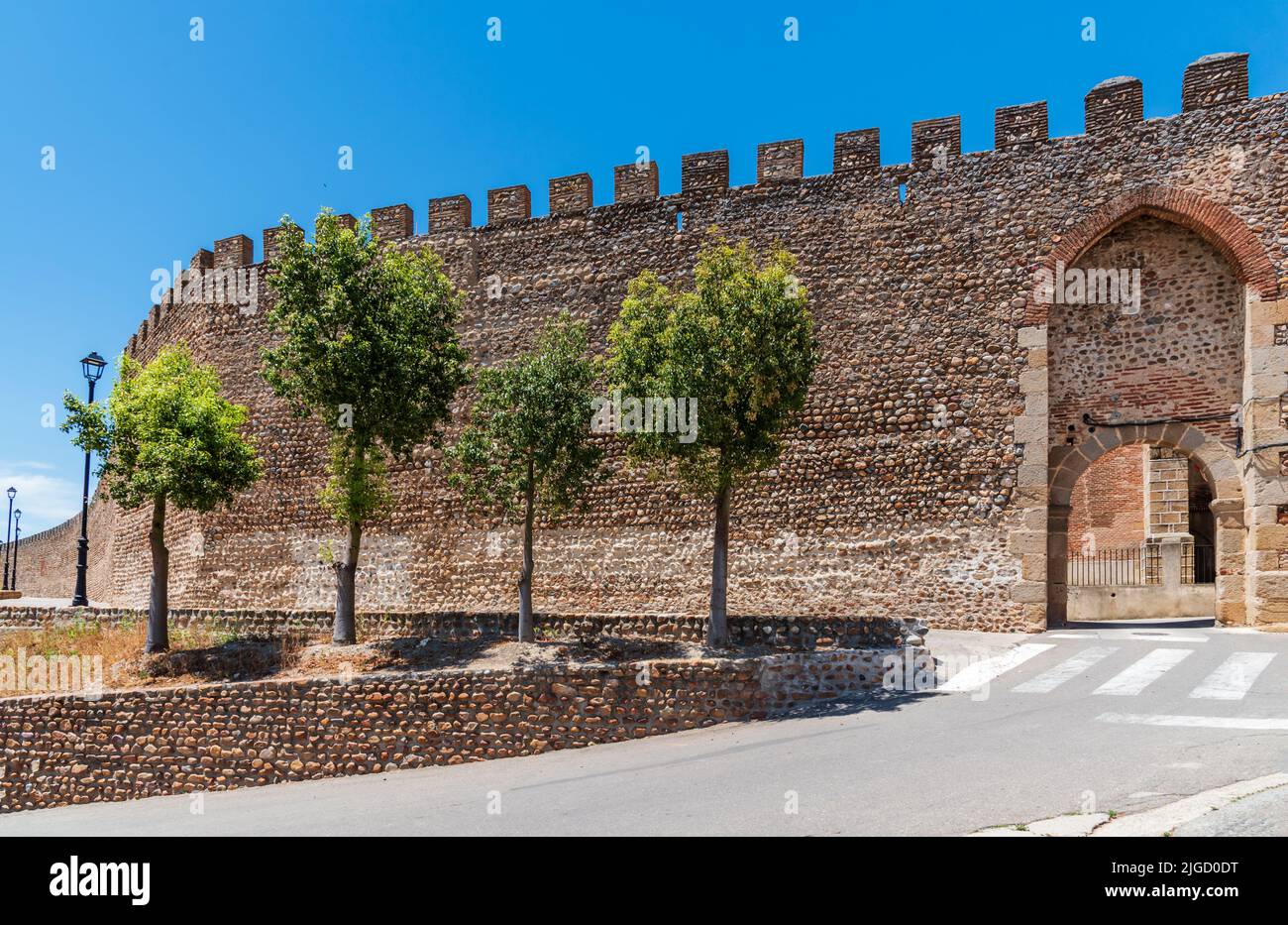 Stork surrounds hi-res stock photography and images - Alamy