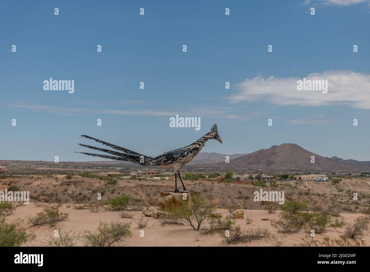 Recycled Roadrunner sculpture at a rest stop in Las Cruces, New Mexico ...