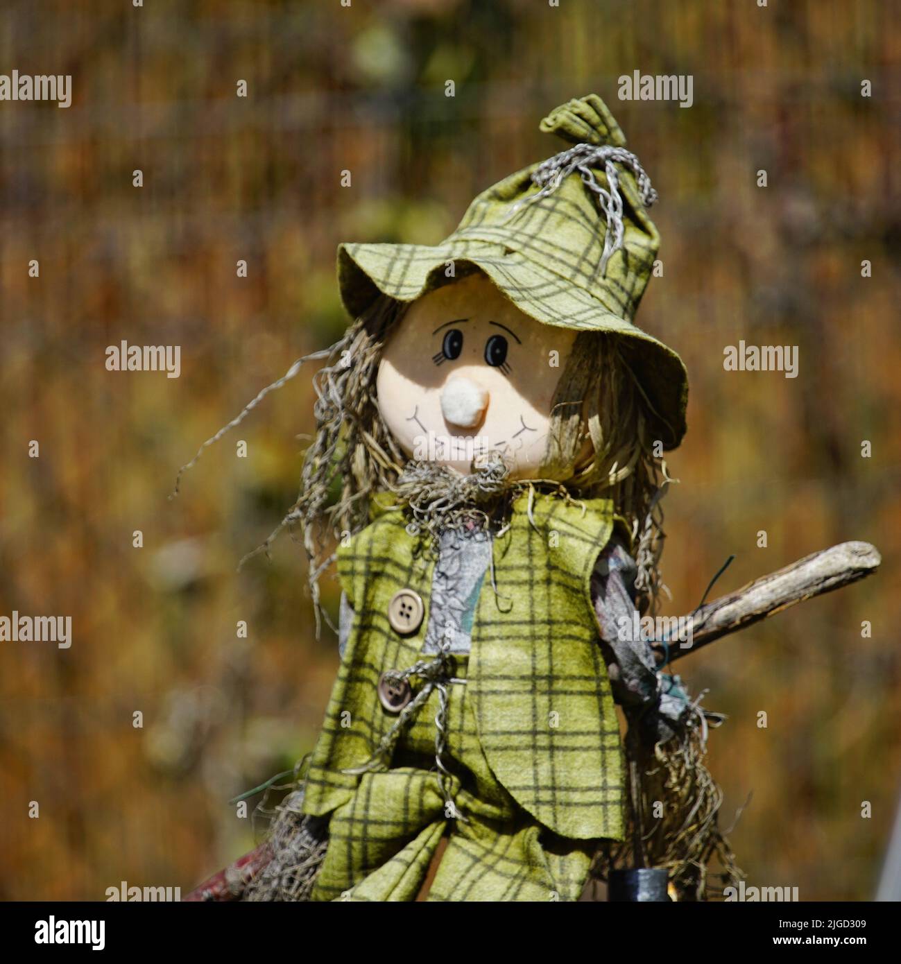 A closeup shot of a garden scarecrow to scare away birds with blur ...
