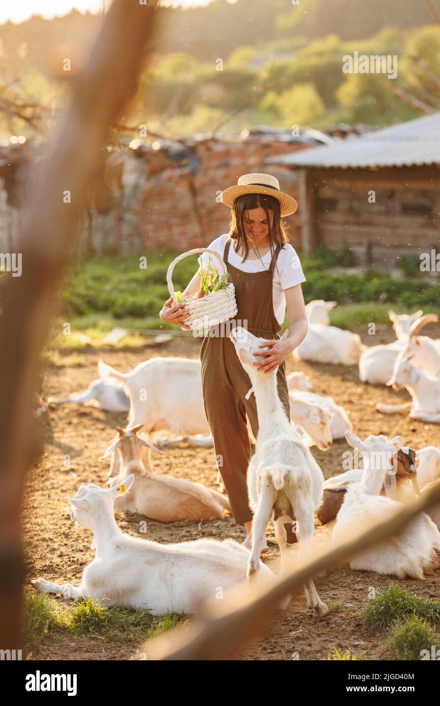 Female farmer taking care of cute goats. Young woman getting pet ...