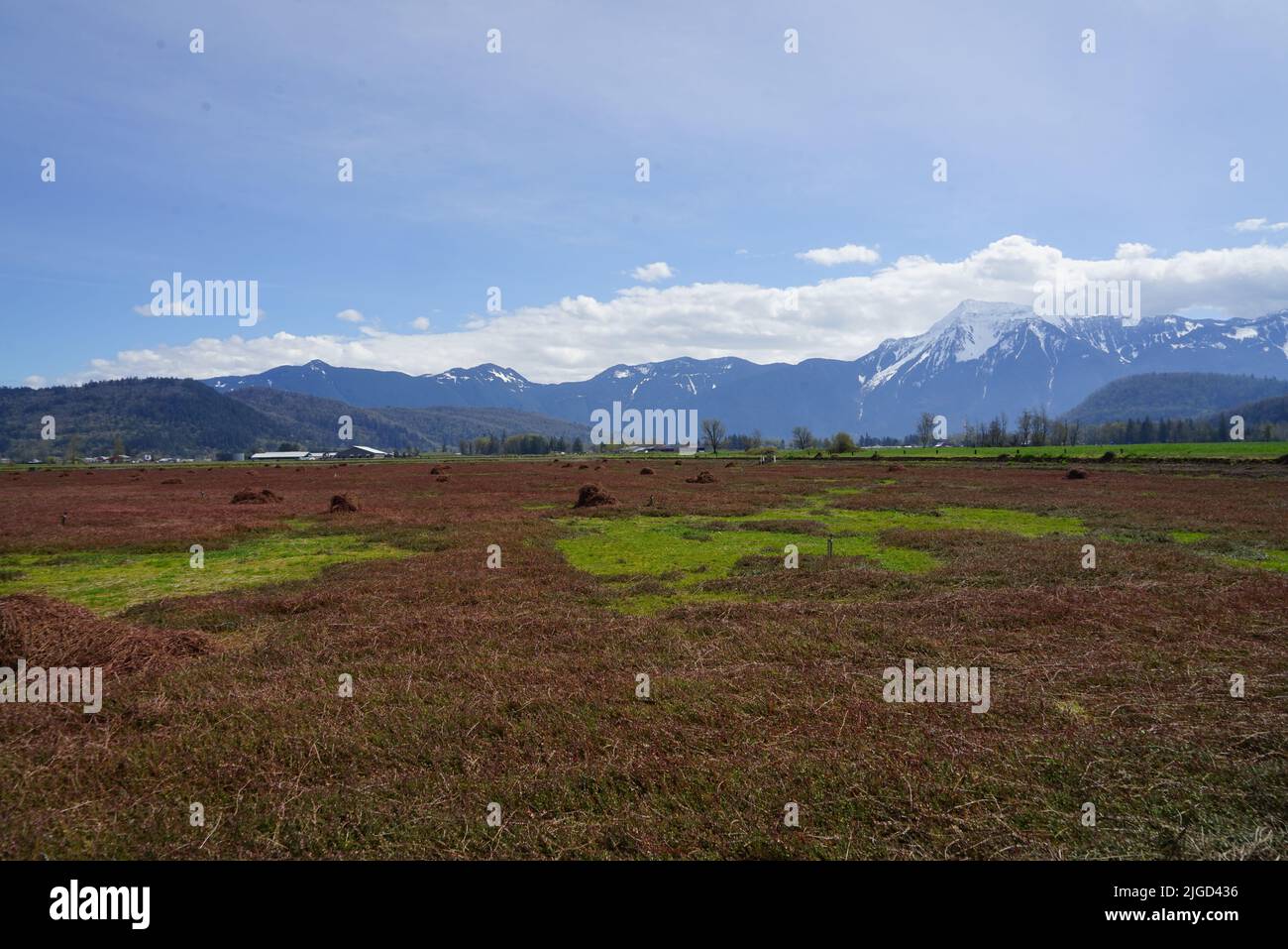 Open field in British Columbia, Canada with snow capped mountains in ...